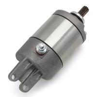 China Replace/Repair Natural Color Starter Motor for KTM 640 LC4 Dirt Bike LC4 640 Parts for sale