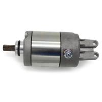 China Replace/Repair Natural Color Starter Motor for KTM 640 LC4 Dirt Bike LC4 640 Parts for sale