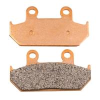 China Golden Sintered FA124/2 Brake Pads for Honda GB250 VTZ250 NX500 NX650 GL1500 Custom for sale