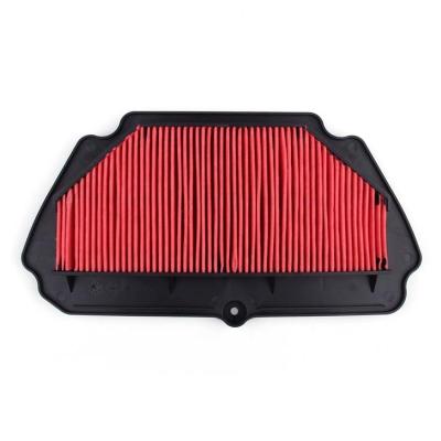China Replace/Repair Purpose 11013-0036 Motorcycle Air Filter for Kawasaki ZX6R Ninja ZX636 for sale