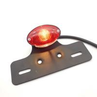 China Advanced Technology 12V DC Universal Motorcycle Tail Light Bulb for Custom Driving for sale