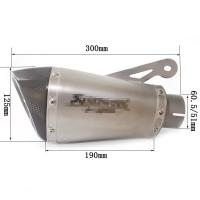 China Customized 60mm 300mm Carbon Fiber Motorcycle Exhaust Pipe for BMW S1000R S1000RR for sale