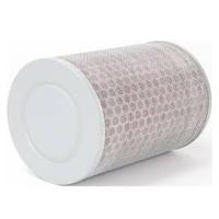 China Custom 17230-KEA-000 Motorcycle Air Filter for Honda CBF500 CB600 CBF600 and Durable for sale