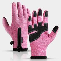 China Non-Slip Plus Velvet Motorcycle Winter Gloves for Men and Women Touch Screen S/M/L/XL for sale