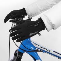 China Non-Slip Plus Velvet Motorcycle Winter Gloves for Men and Women Touch Screen S/M/L/XL for sale