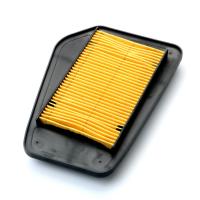 China Exceptional Performance Custom HFA1113 Motorcycle Air Filter for Honda CBR125R 0.25kg for sale