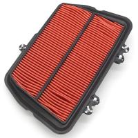 China Customizable Logo HFA6501 T2200557 Motorcycle Air Filter for Triumph 800 Tiger Customized for sale