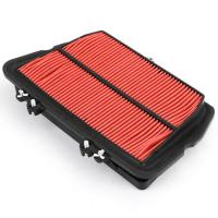 China Customizable Logo HFA6501 T2200557 Motorcycle Air Filter for Triumph 800 Tiger Customized for sale