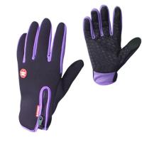China Waterproof Warm Full Finger Touch Screen Motorcycle Cycling Gloves for Winter Riding for sale