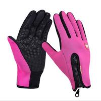 China Waterproof Warm Full Finger Touch Screen Motorcycle Cycling Gloves for Winter Riding for sale
