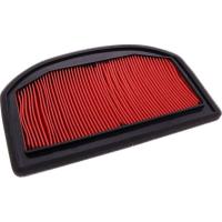 China Custom T2209555 OEM Air Filter for Triumph 1200 Tiger Explorer Motorcycle Best Choice for sale
