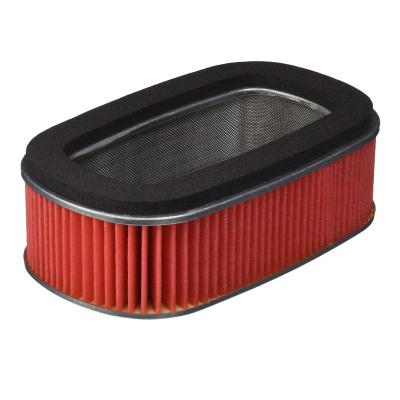 China Replace/Repair Purpose Custom 17214-MY6-670 Motorcycle Air Filter for Honda XL250 for sale