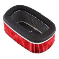 China Replace/Repair Purpose Custom 17214-MY6-670 Motorcycle Air Filter for Honda XL250 for sale