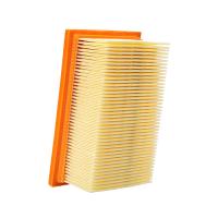 China Direct Yellow Motorcycle Air Filter for BMW F800GS F650GS F800R Customized Design for sale