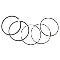 China Steel Standard Bore Motorcycle Piston Ring 95mm for Yamaha XT600 TT600 SRX600 for sale