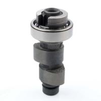 China Steel Motorcycle Camshaft for Yamaha YBR125 XTZ125 TT-R125L 5HH-E2170-20/5HH-E2710-01 for sale