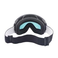 China 20-30 Working Days Delivery Time Custom Skiing Glasses with Anti-Fog/UV400 Protection for sale