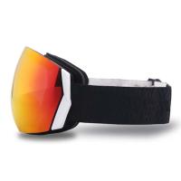 China 20-30 Working Days Delivery Time Custom Skiing Glasses with Anti-Fog/UV400 Protection for sale