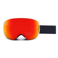 China 20-30 Working Days Delivery Time Custom Skiing Glasses with Anti-Fog/UV400 Protection for sale