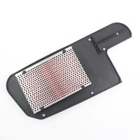 China Replace/Repair Air Filter for Honda NSS250 FES250 17210-KFG-010 Motorcycle Scooter for sale