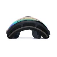 China SKI Applicable Scene Spherical Lens Custom Adult Anti-Fog Goggles for Sports for sale