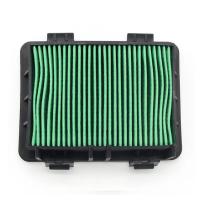 China Motorcycle Air Filter Cleaner Intake Element for KTM Duke390 250 125 0.35kg Weight for sale