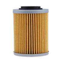 China Custom 420256188 HF152 ATV Oil Filter for Can Am 400 450 500 570 650 Outlander Sample for sale