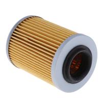China Custom 420256188 HF152 ATV Oil Filter for Can Am 400 450 500 570 650 Outlander Sample for sale