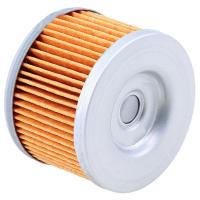 China Replace/Repair Purpose 3088036 HF112 ATV Oil Filter for Polaris 500 Outlaw Predator for sale