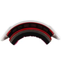 China Applicable Scene Motocross TPU Frame PC Lens Goggles for Extreme Sports Enthusiasts for sale