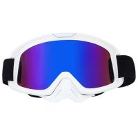 China Custom Logo Dirt Bike Motorcycle MX Goggles Shockproof and Foam for Motocross Racing for sale