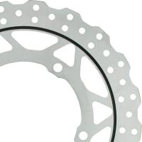 China Front Natural Color 290mm Brake Disc for Kawasaki EX 300 Ninja 250 Custom Motorcycle for sale