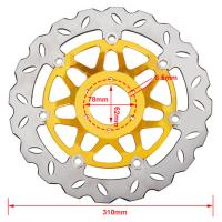 China Front 310mm Motorcycle Brake Disc for Honda CB1100SF CBR1100XX CB1300F for sale