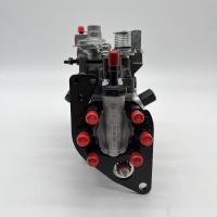 China 9521A081H Del-Phi Diesel Injection Pump Del-Phi Fuel System for sale