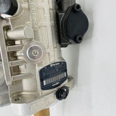 China 9521A360T Del-Phi Fuel Injection Pump Del-Phi Fuel System for sale