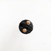 China Bos-ch Common Rail Fuel Injector 0445120063 For Diesel Engine for sale