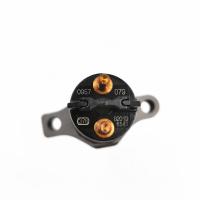 China Bos-ch Common Rail Fuel Injector 0445120079 For Diesel Engine for sale
