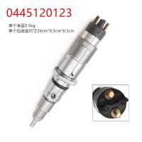 China Bos-ch Common Rail Fuel Injector 0445120123 For Diesel Engine for sale
