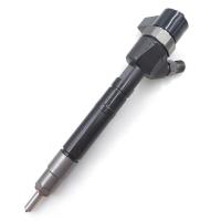 China Bos-ch 0445110070 Common Rail Injector for sale