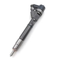 China Bos-ch 0445110141 Common Rail Injector for sale