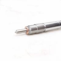 China Bos-ch 0445110190 Common Rail Injector for sale