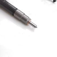 China Bos-ch 0445110250 Common Rail Injector for sale