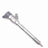 China Bos-ch 0445110258 Common Rail Injector for sale