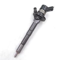 China Bos-ch 0445110284 Common Rail Injector for sale