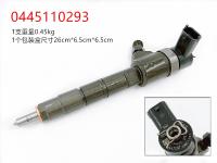 China Bos-ch 0445110293 Common Rail Injector for sale