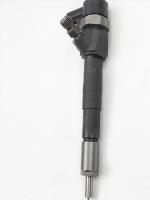 China Bos-ch 0445110300 Common Rail Injector for sale