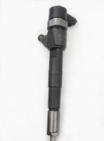 China Bos-ch 0445110300 Common Rail Injector for sale