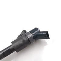 China Bos-ch 0445110307 Common Rail Injector for sale