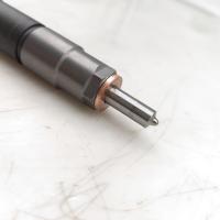 China Bos-ch 0445110338 Common Rail Injector for sale
