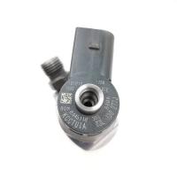 China Bos-ch 0445110369 Common Rail Injector for sale